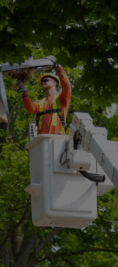 El-Con Construction - Oakville